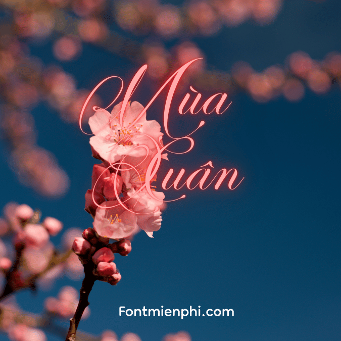 Font Việt hóa 1FTV VIP Perfecto Calligraphy ,Font tết - Kho Font việt ...